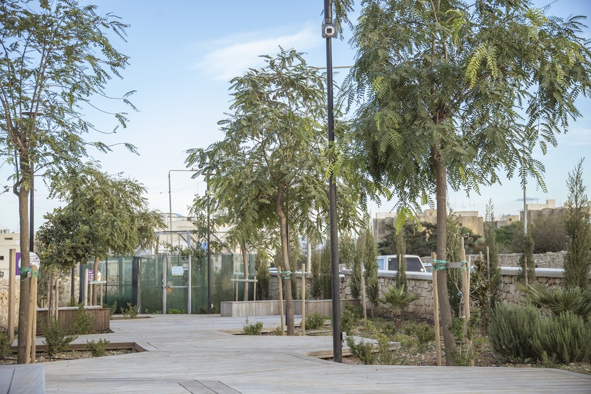 Tħawlu aktar minn 8,000 siġra fl-2024 - Ministeru tal-Ambjent - Newsbook