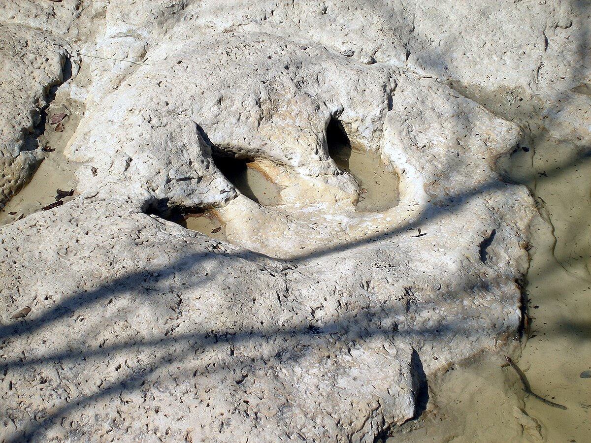 UK’s largest dinosaur footprint site unearthed in Oxfordshire