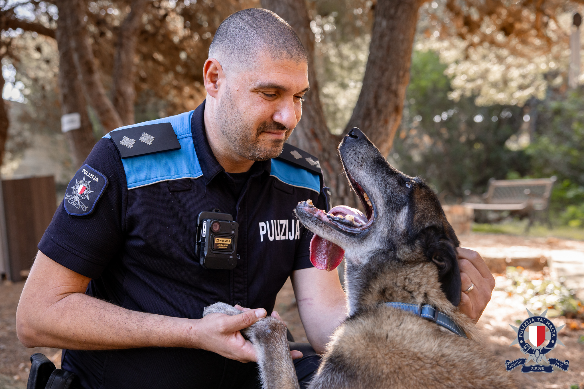 K9 Rex retires from Police Force and moves to Kulleġġ San Nikola