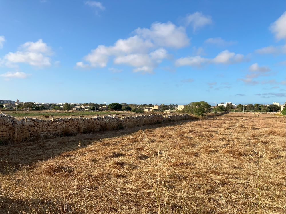 Il-Gvern idawwar ir-rotta fuq l-art f'Tal-Bebbux wara l-pressjoni tal-pubbliku - Newsbook