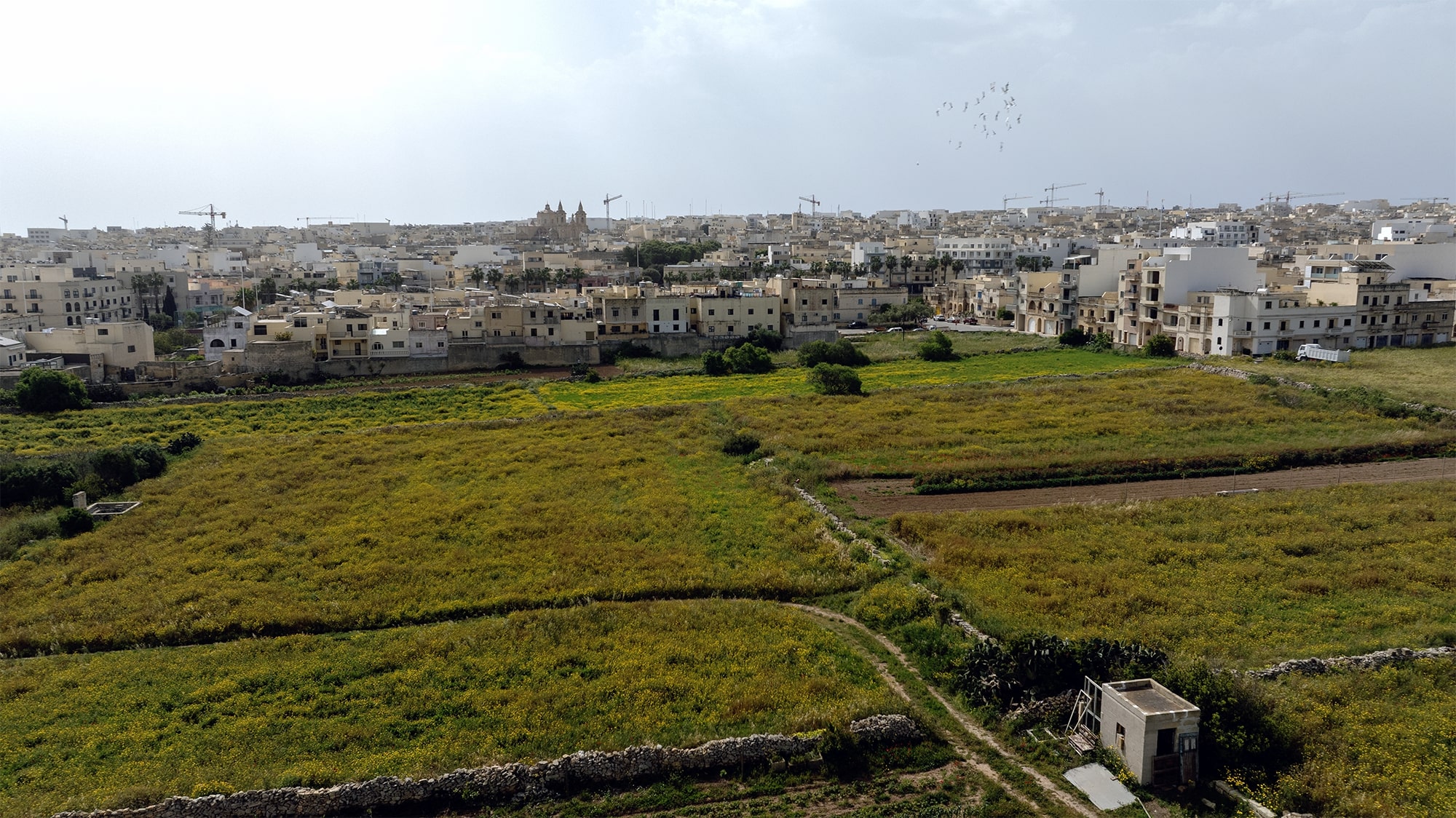 Żurrieq residents and Il-Kollettiv stand in solidarity with Tal-Bebbux ...
