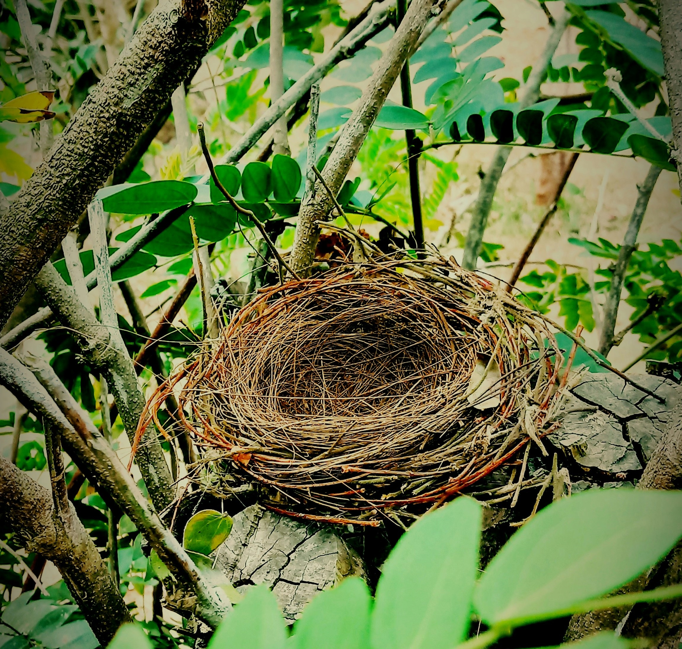 Uliedna jmorru Malta... x’jinbidel? - Newsbook