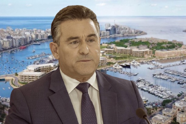 Grech ikkritikat wara li ammetta li ma qarax il-petizzjoni ta' Manoel ...