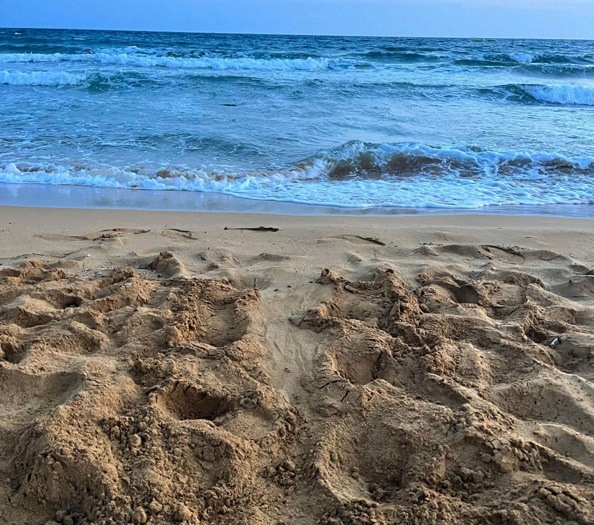 Il-fekruna Johanna twassal għas-sejba tat-tielet bejta - Newsbook