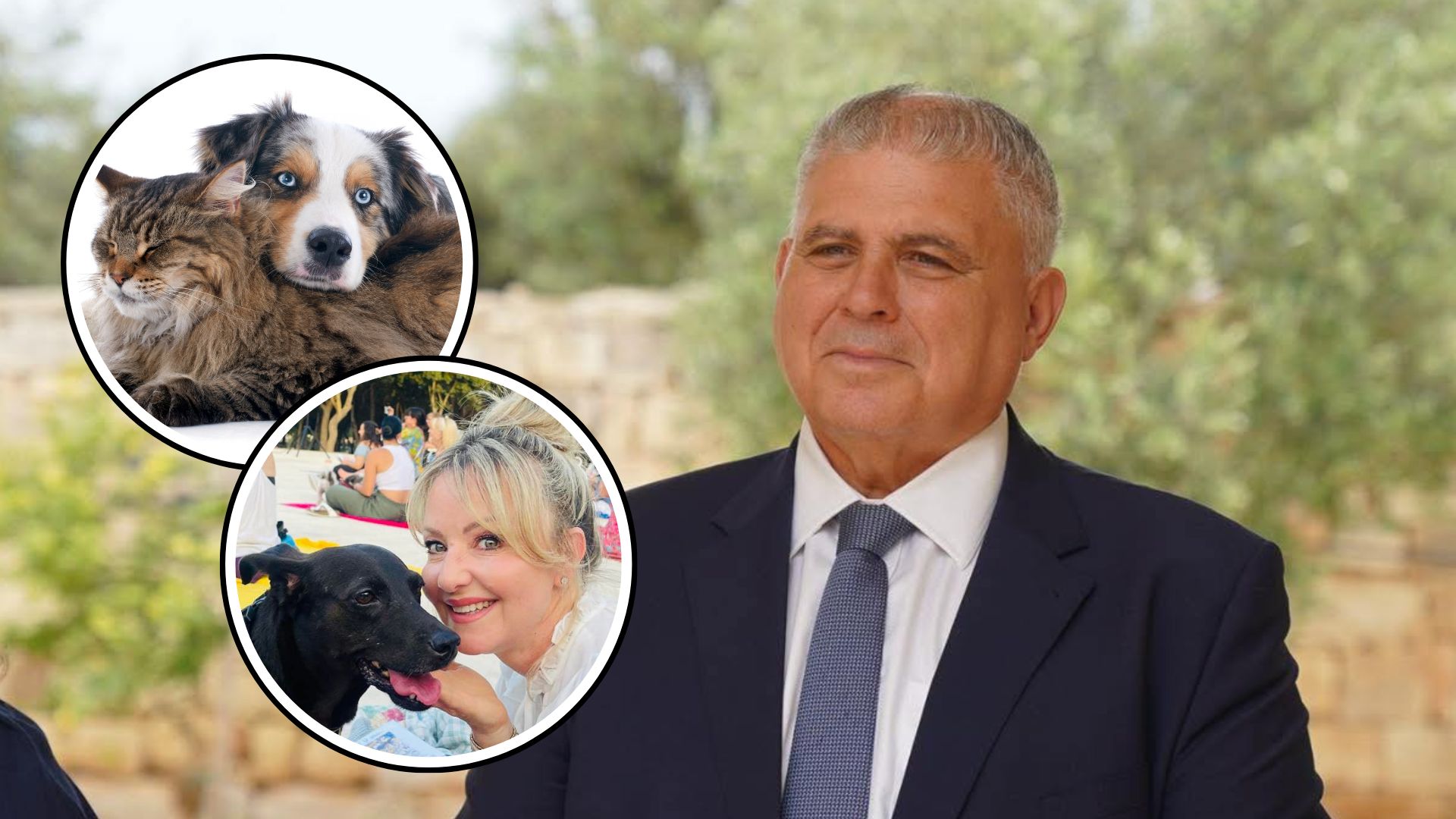 Government launches emergency veterinary service after prolonged ...