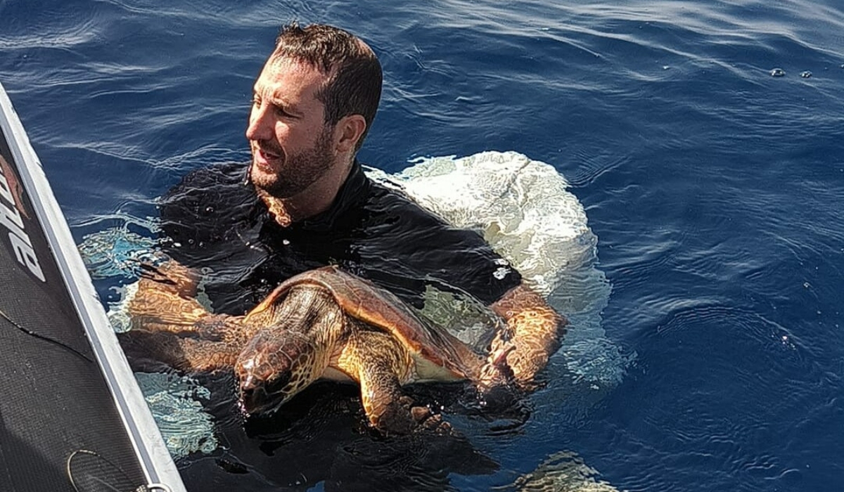 Il-fekruna Gabrielle: Salvataġġ f'waqtu biex ma titlifx il-flipper ...