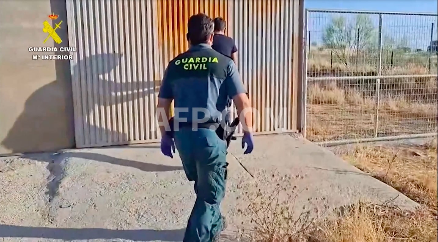 Watch: 32 dogs found dead from starvation at Spanish farm