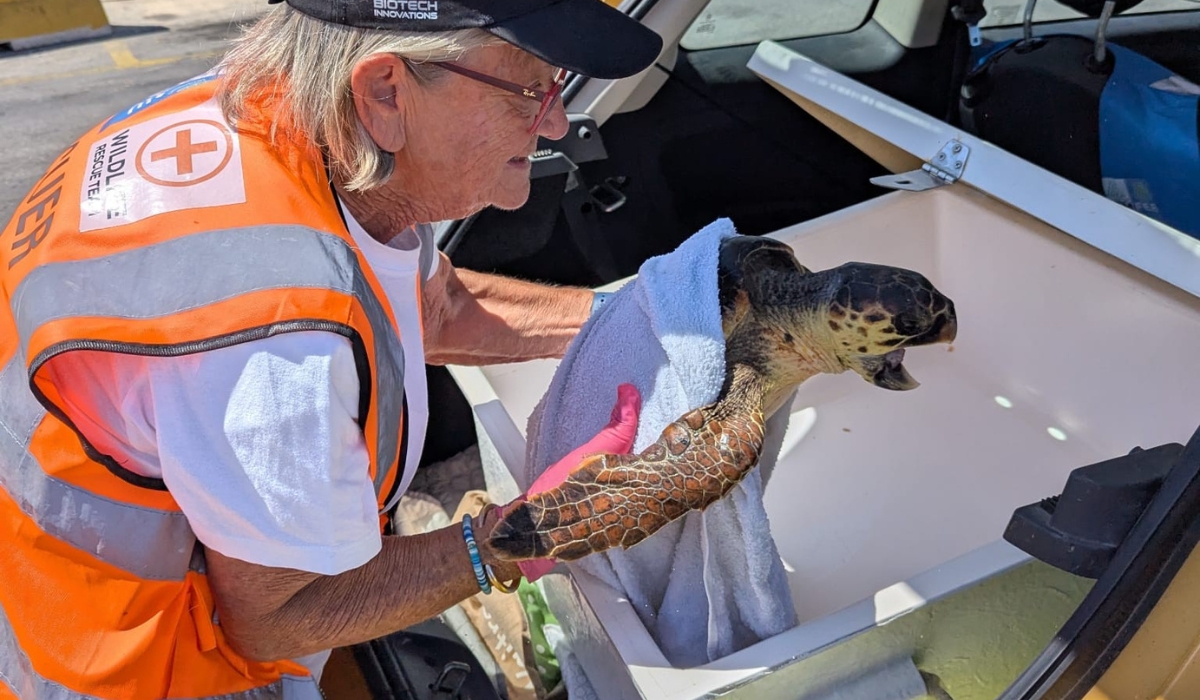 Chiquito salvata mill-baħar waqt li kienet f'diffikultà biex togħdos