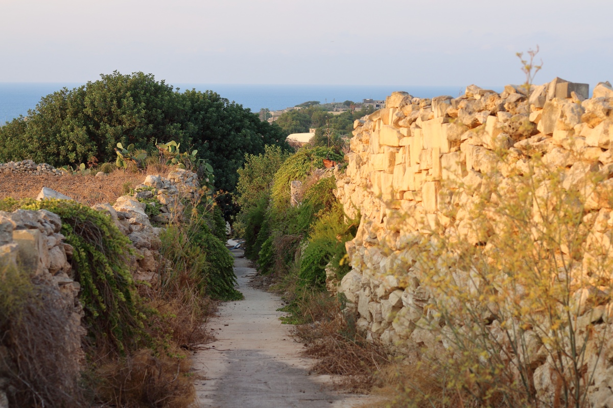 NGO coalition launches crowdfunding appeal against Ħaż-Żabbar road