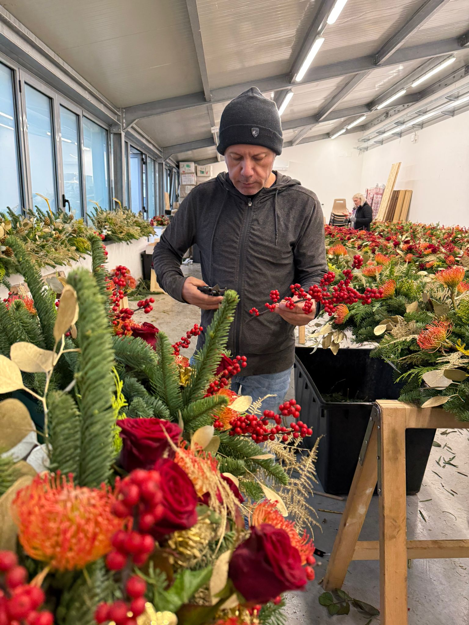 Maltese florist once more helps decorate St Peter’s Basilica for Christmas