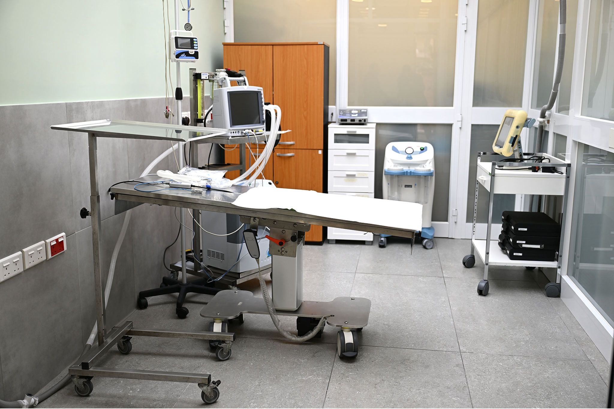 Four animals treated during first night of new emergency vet service