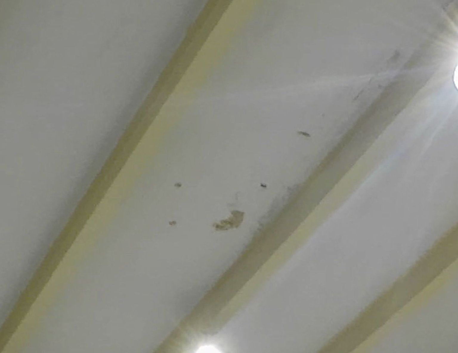 Students struck as fragments of school ceiling collapse at performing ...