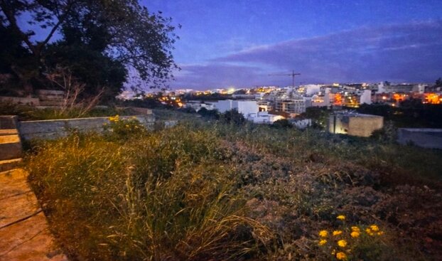 Momentum backs bid to save 'last green space' in Swatar